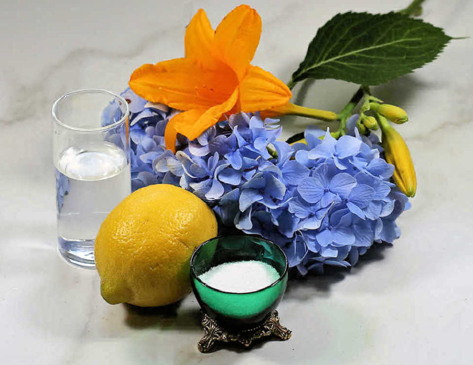 25 tips for using lemons in the home and for beauty and health