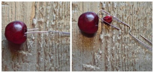 Pit Cherries Without a Cherry Pitter - Kitchen Tip from Recipes Just 4U